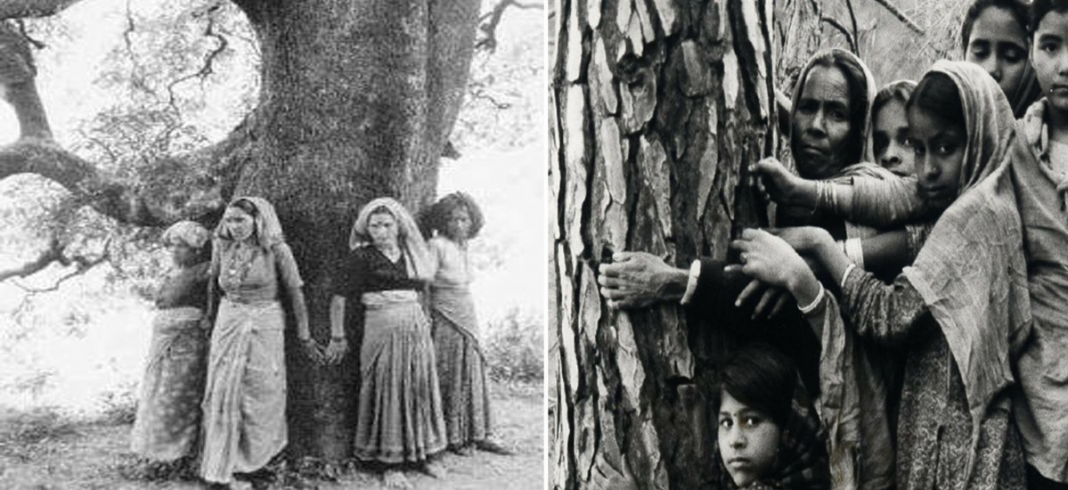 Chipko Movement – Women Embracing Trees, an Art of Protesting | Open Naukri