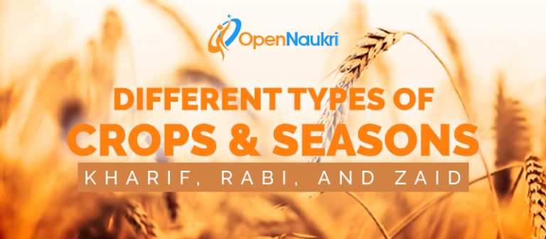 Different Types of Crops & Seasons: Kharif, Rabi, and Zaid | Open Naukri