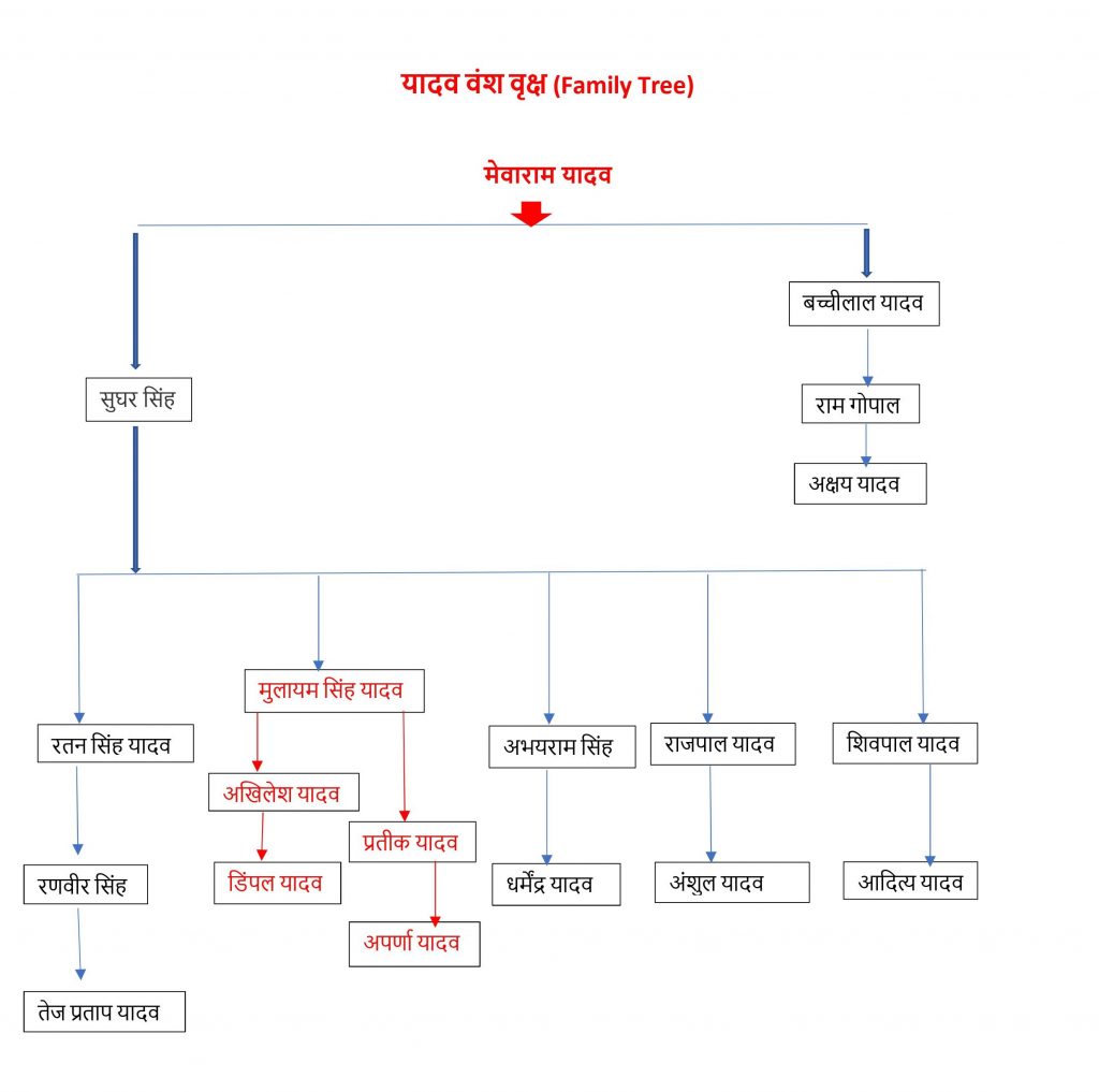 Mulayam Singh Yadav Family Tree - Open Naukri